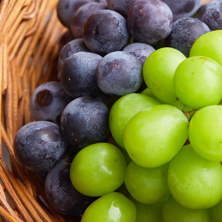 [특가할인] 고당도 샤인머스켓＆머루포도