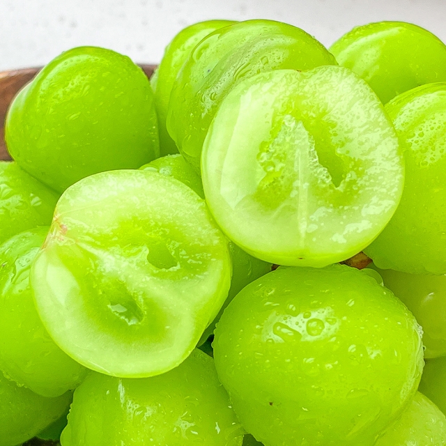 농가살리기 - 농수산물 전문 직거래장터 | 김치