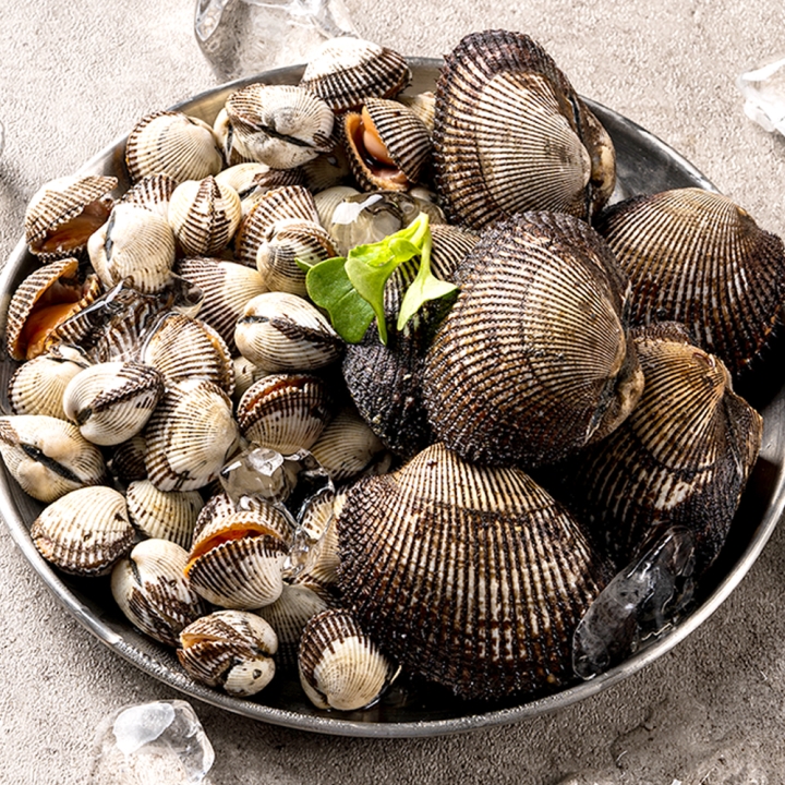 당일채취 여수 제철 꼬막2종(피꼬막, 새꼬막)