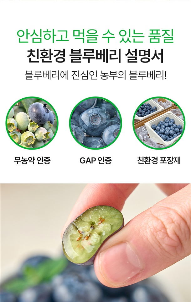 [친환경] 농부직송!! 당일 수확 블루베리 250g/500g (무농약/GAP인증)